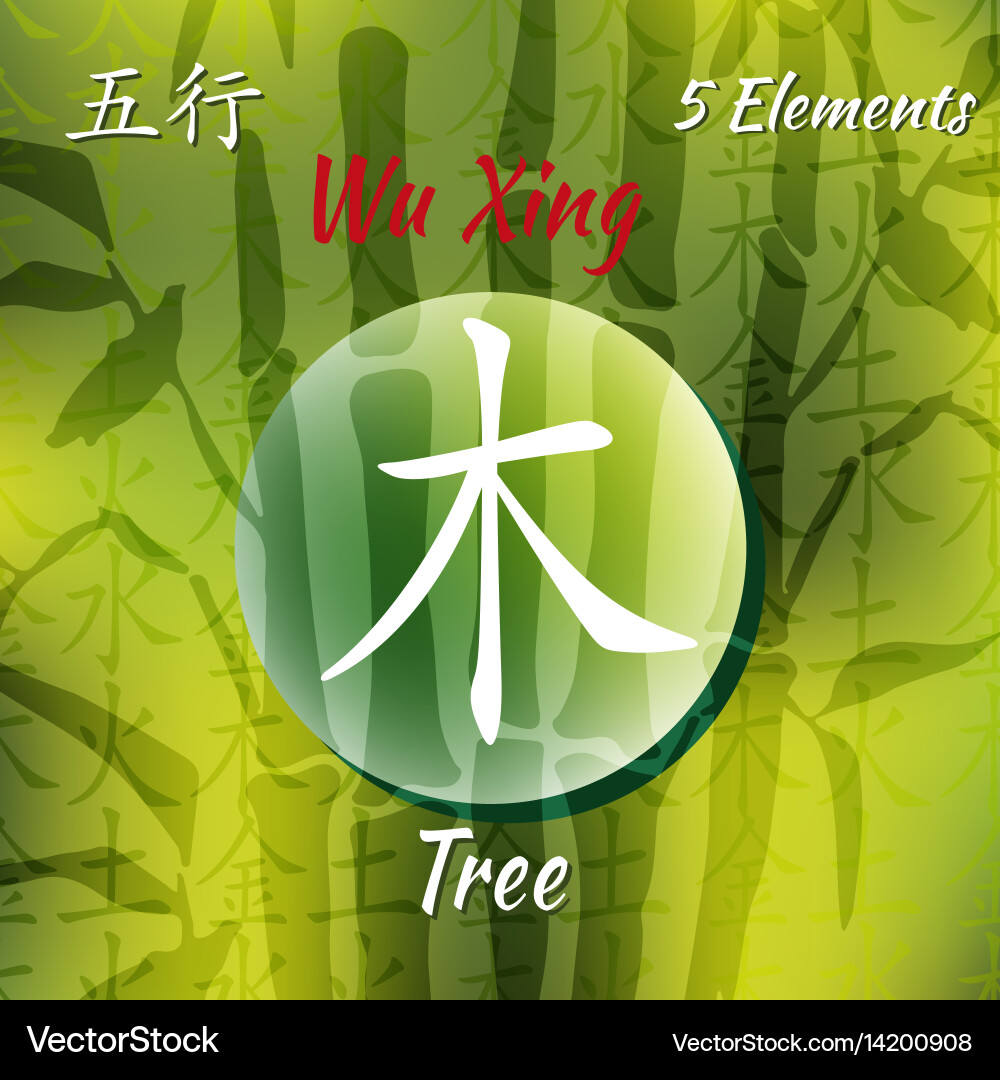 Five feng shui elements set Royalty Free Vector Image