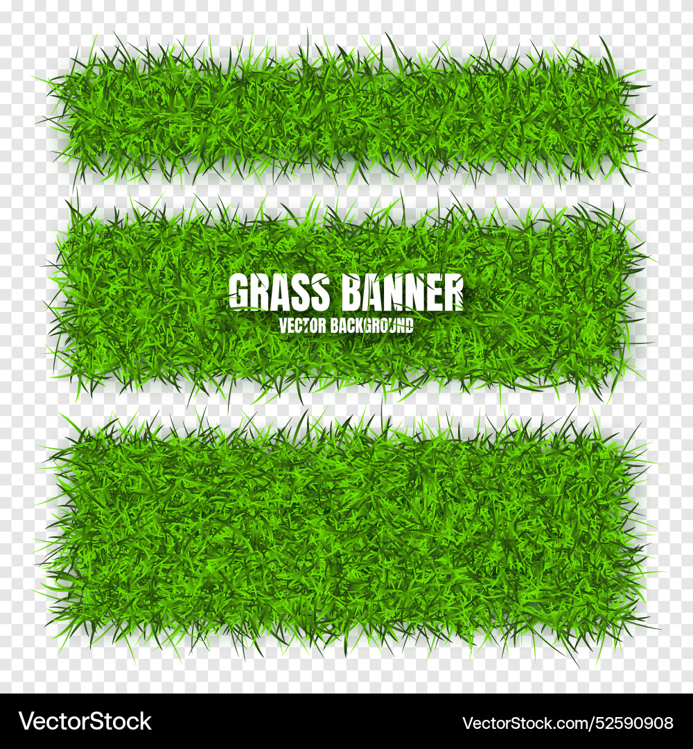 Green grass banners background field meadow Vector Image