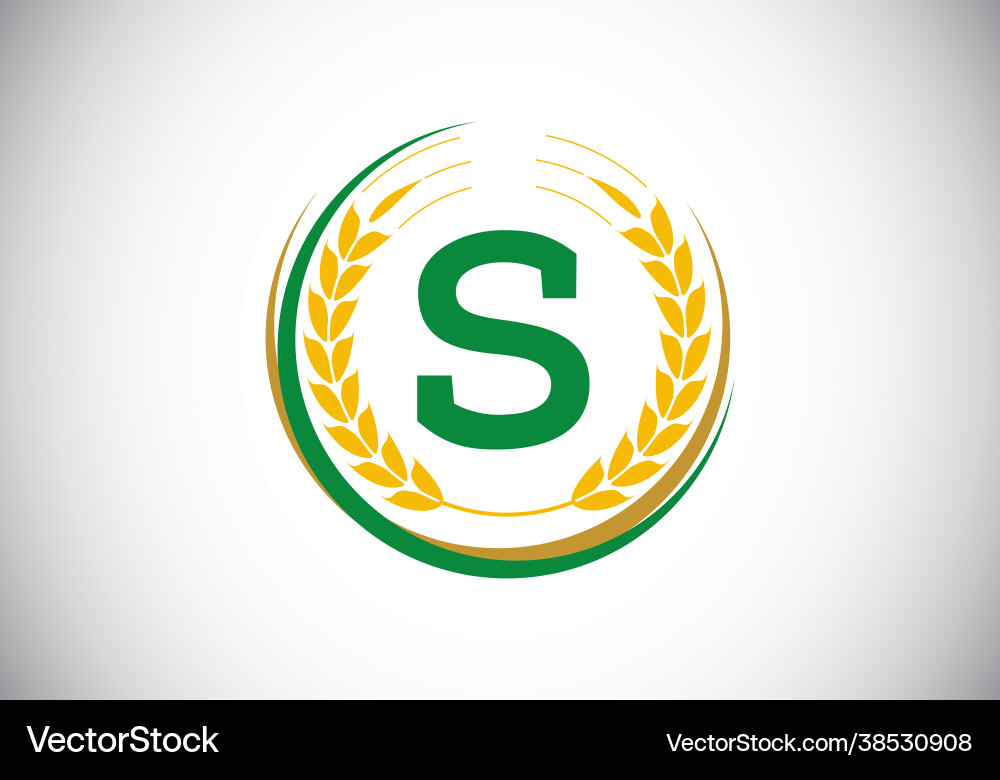 Initial letter s sign symbol with wheat ears Vector Image