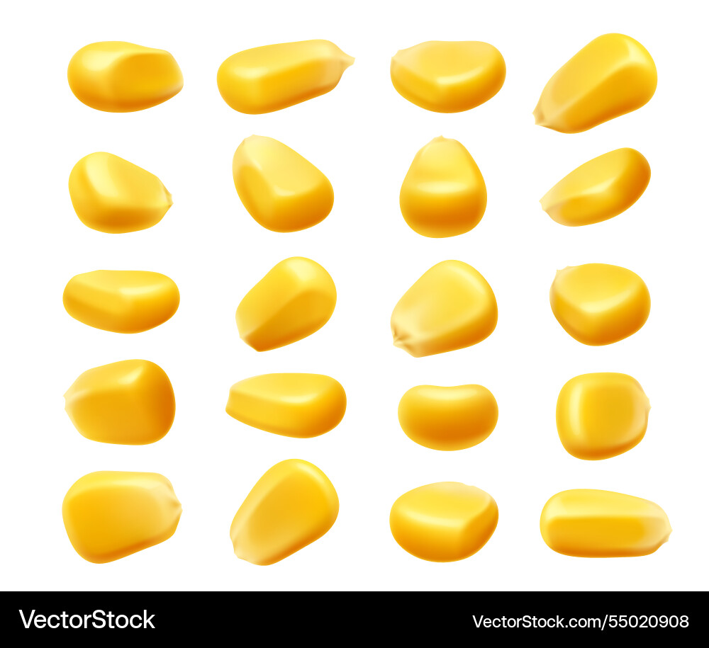 Realistic sweet corn kernels isolated set Vector Image