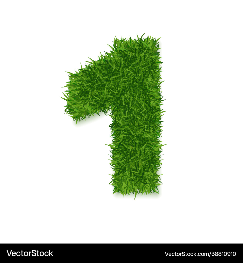Realistic detailed 3d green grass number one Vector Image