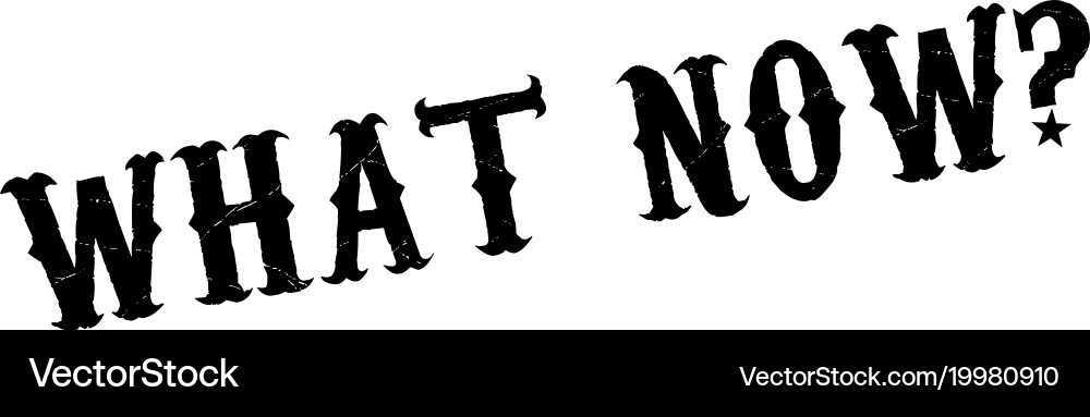 What now rubber stamp Royalty Free Vector Image