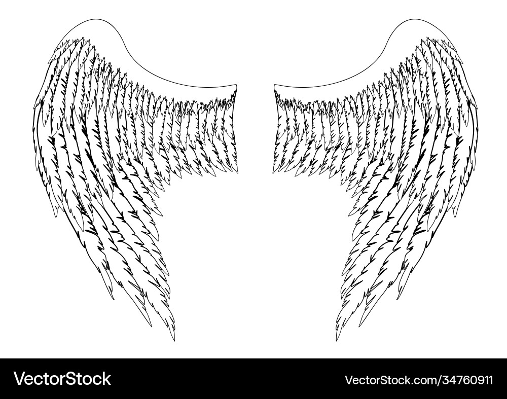 Black and white hand-drawn wings Royalty Free Vector Image