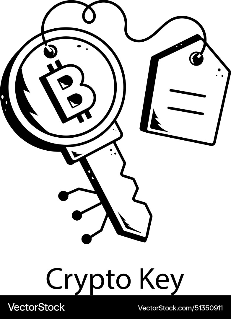 Crypto key Royalty Free Vector Image - VectorStock