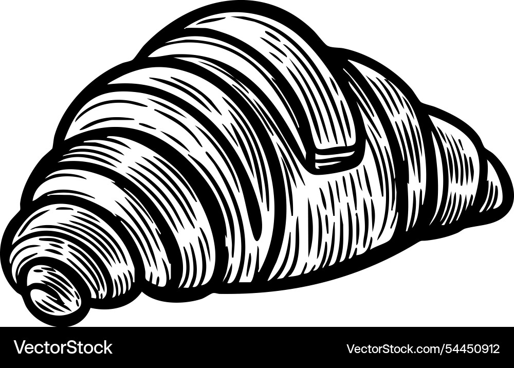 Hand drawn croissant on white background Vector Image