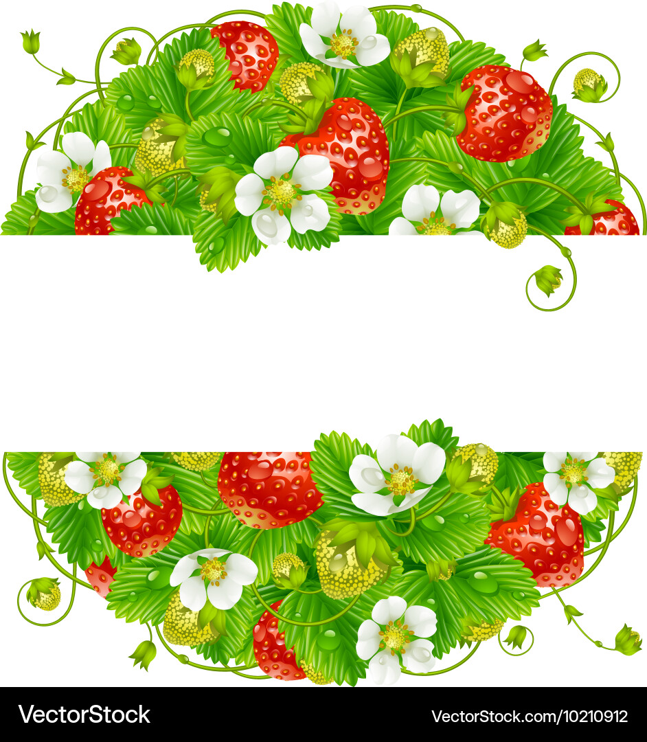 Strawberry round frame Royalty Free Vector Image
