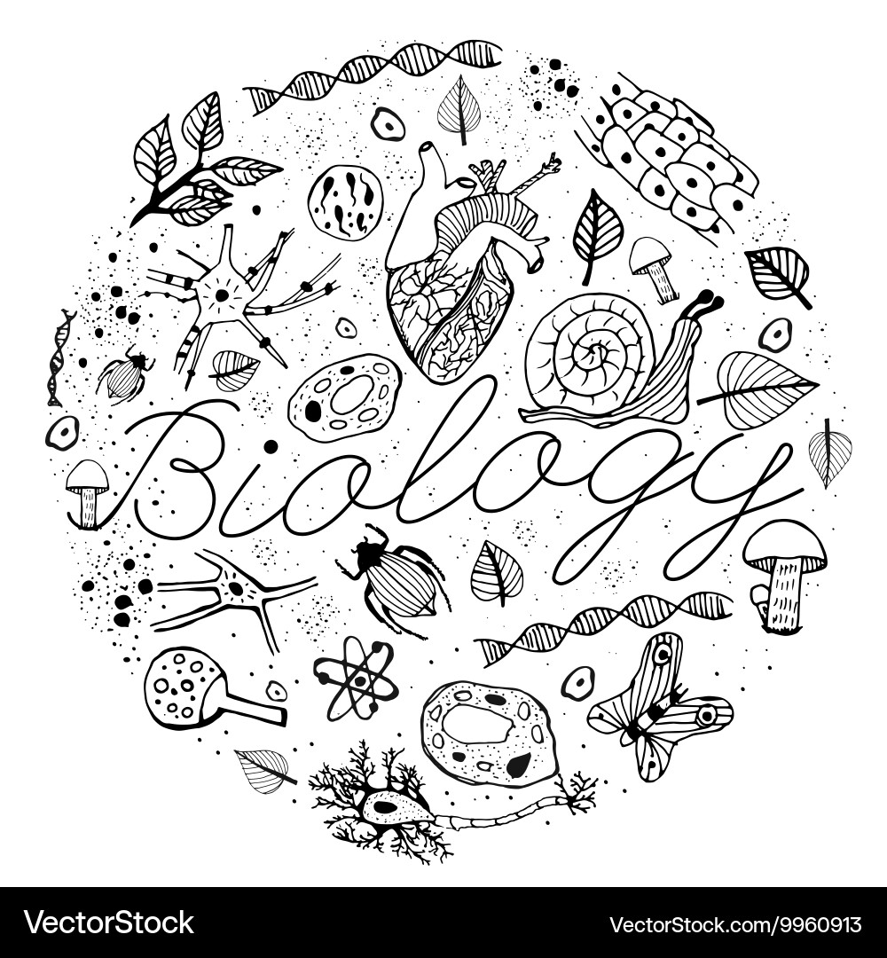 Biology Pattern - Scientific Doodles Royalty Free Vector