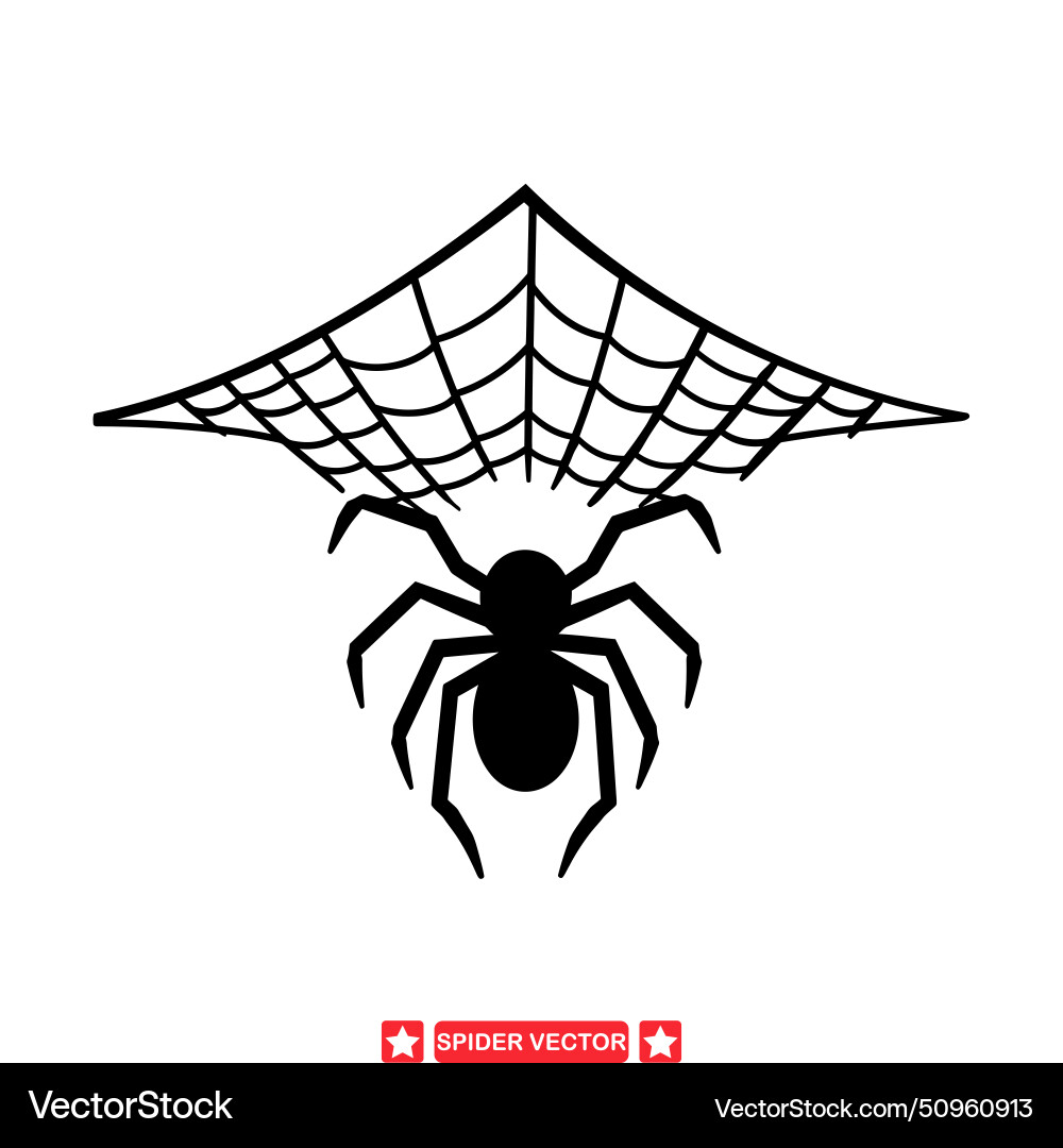 Nightmarish arachnids spine chilling spider Vector Image