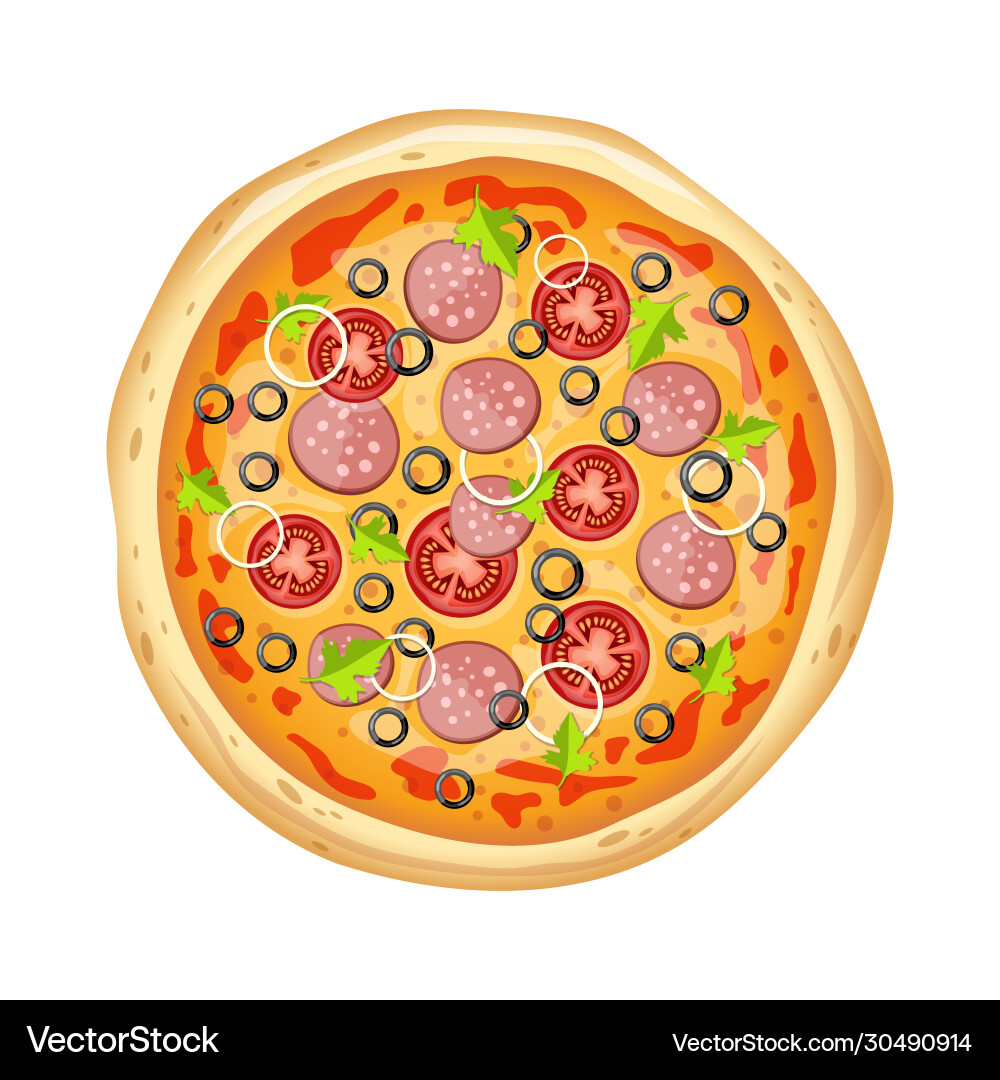 Fresh delicious pizza Royalty Free Vector Image