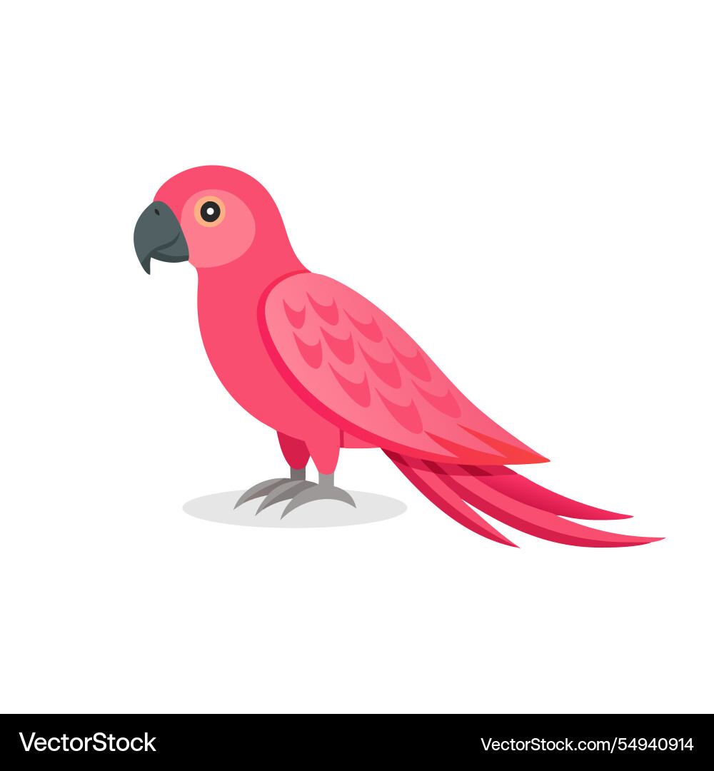 Pink parrot bird isolated flat Royalty Free Vector Image