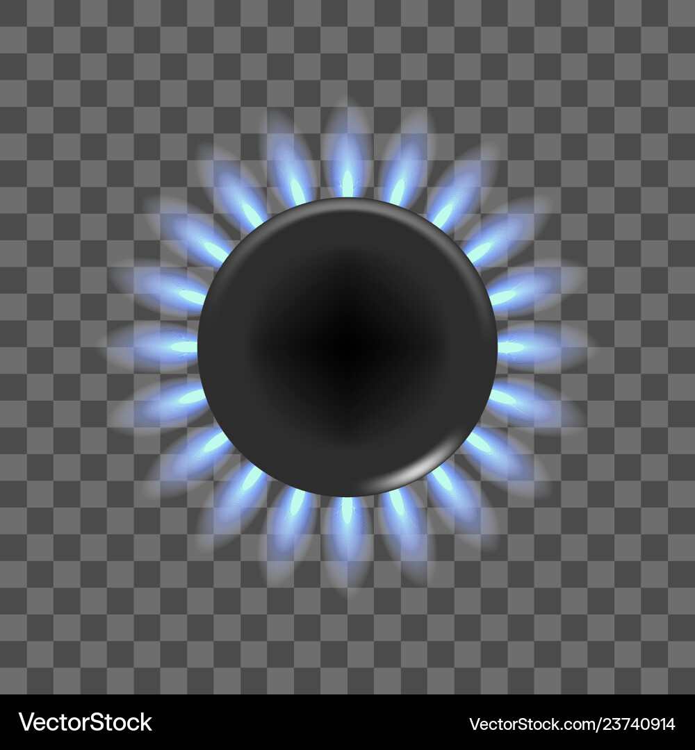 Realistic detailed 3d gas stove burner flame Vector Image