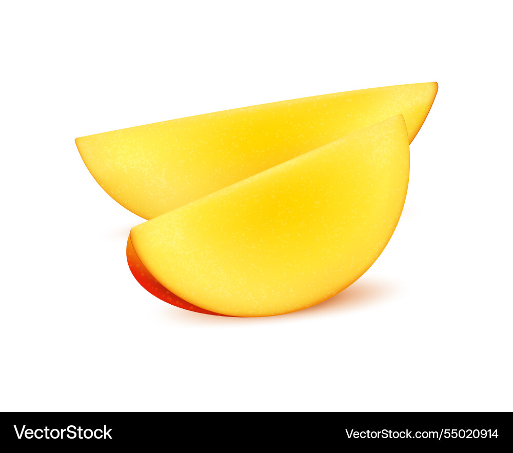 Realistic ripe raw tropical mango fruit slices Vector Image