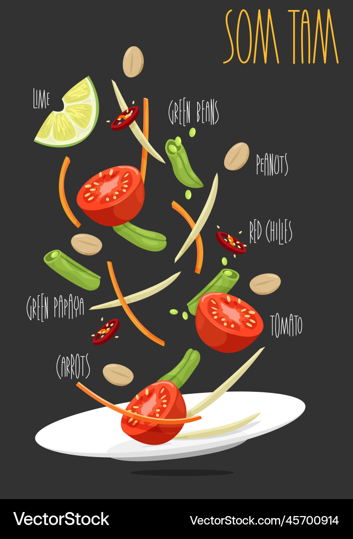 Som tam Royalty Free Vector Image - VectorStock