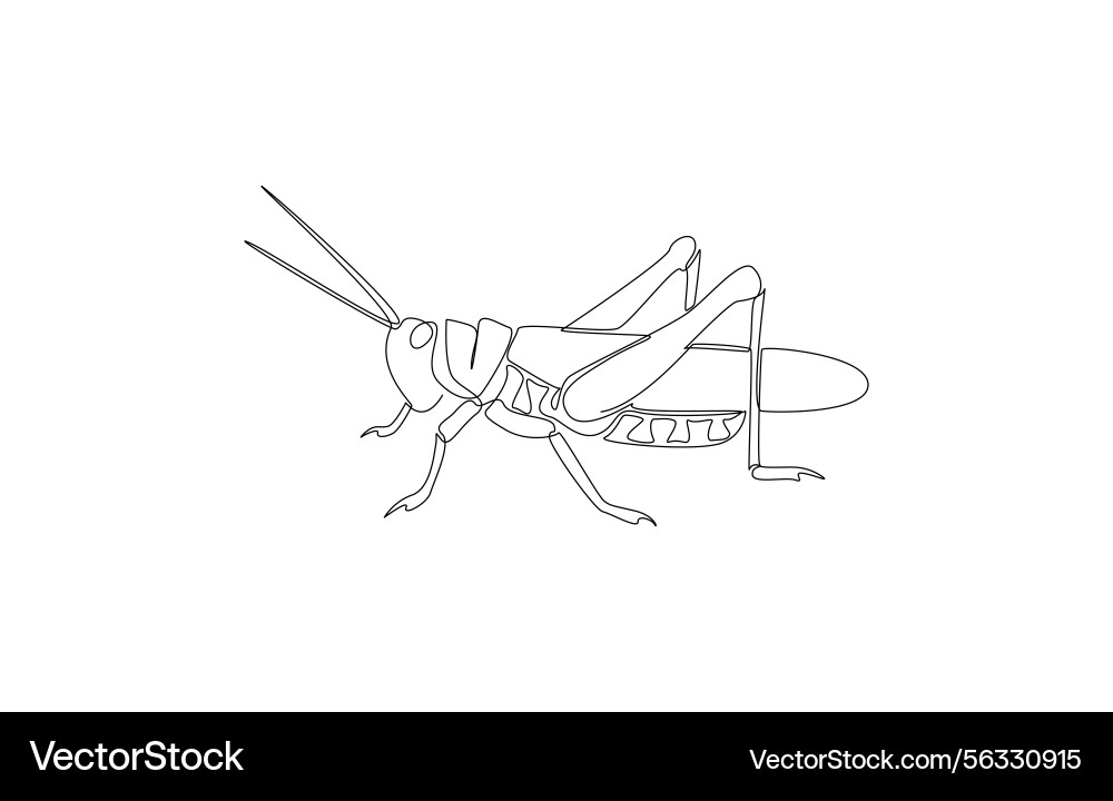 Grasshopper Royalty Free Vector Image - VectorStock