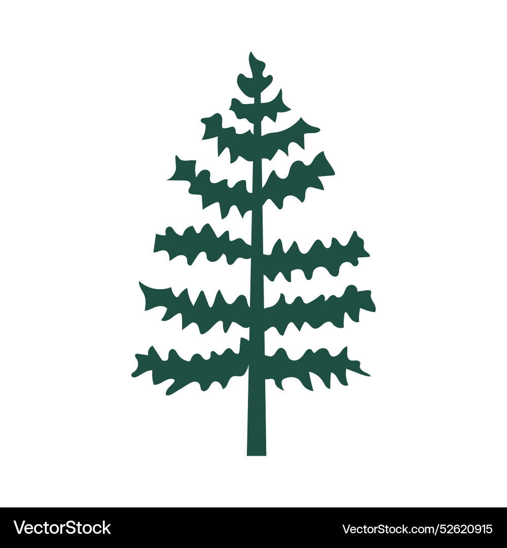 Simple spruce tree image pine Royalty Free Vector Image