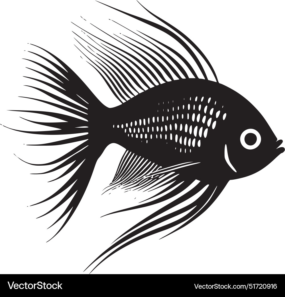Angelfish - black and white isolated icon Vector Image