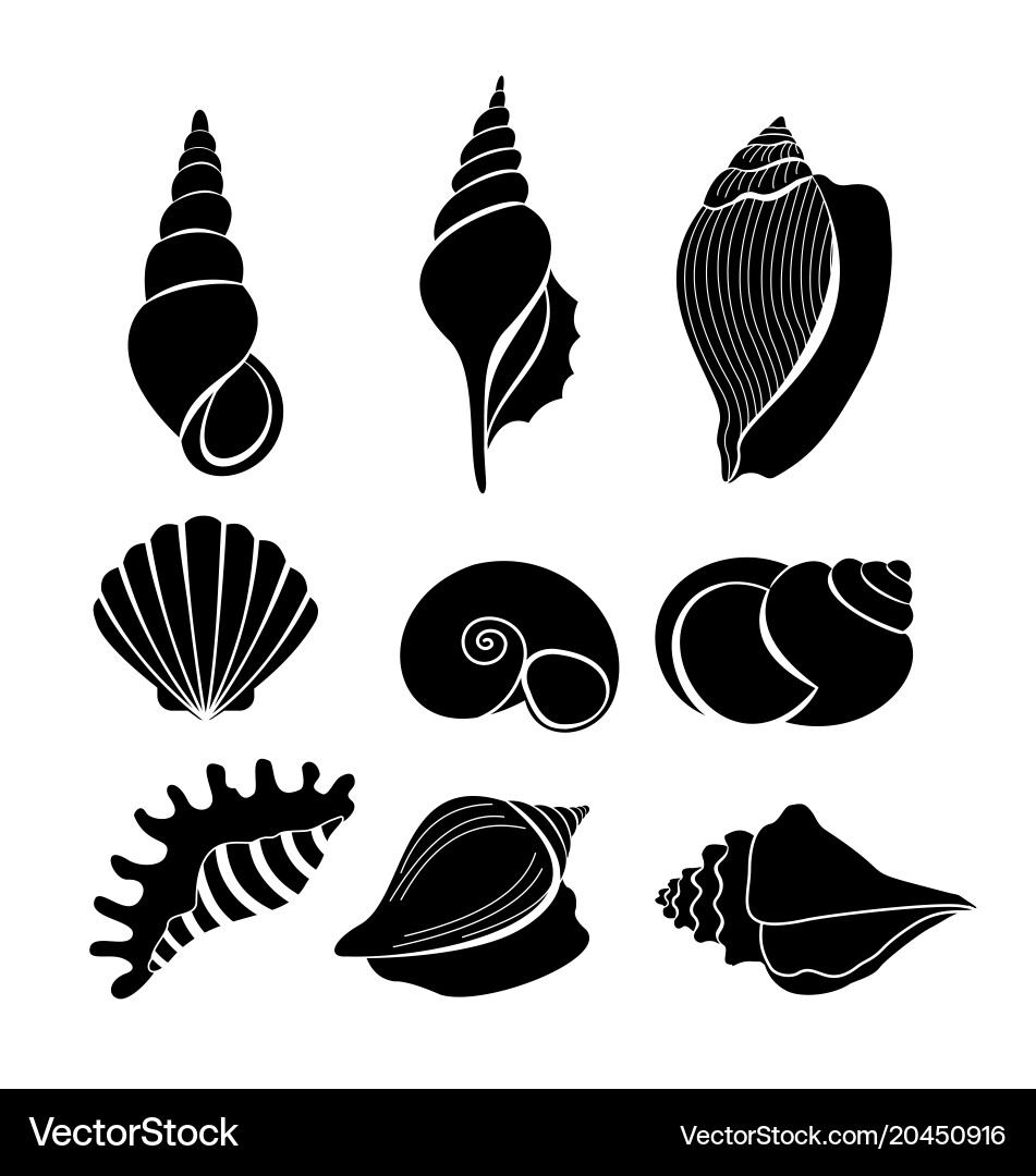 Set of sea shells black Royalty Free Vector Image
