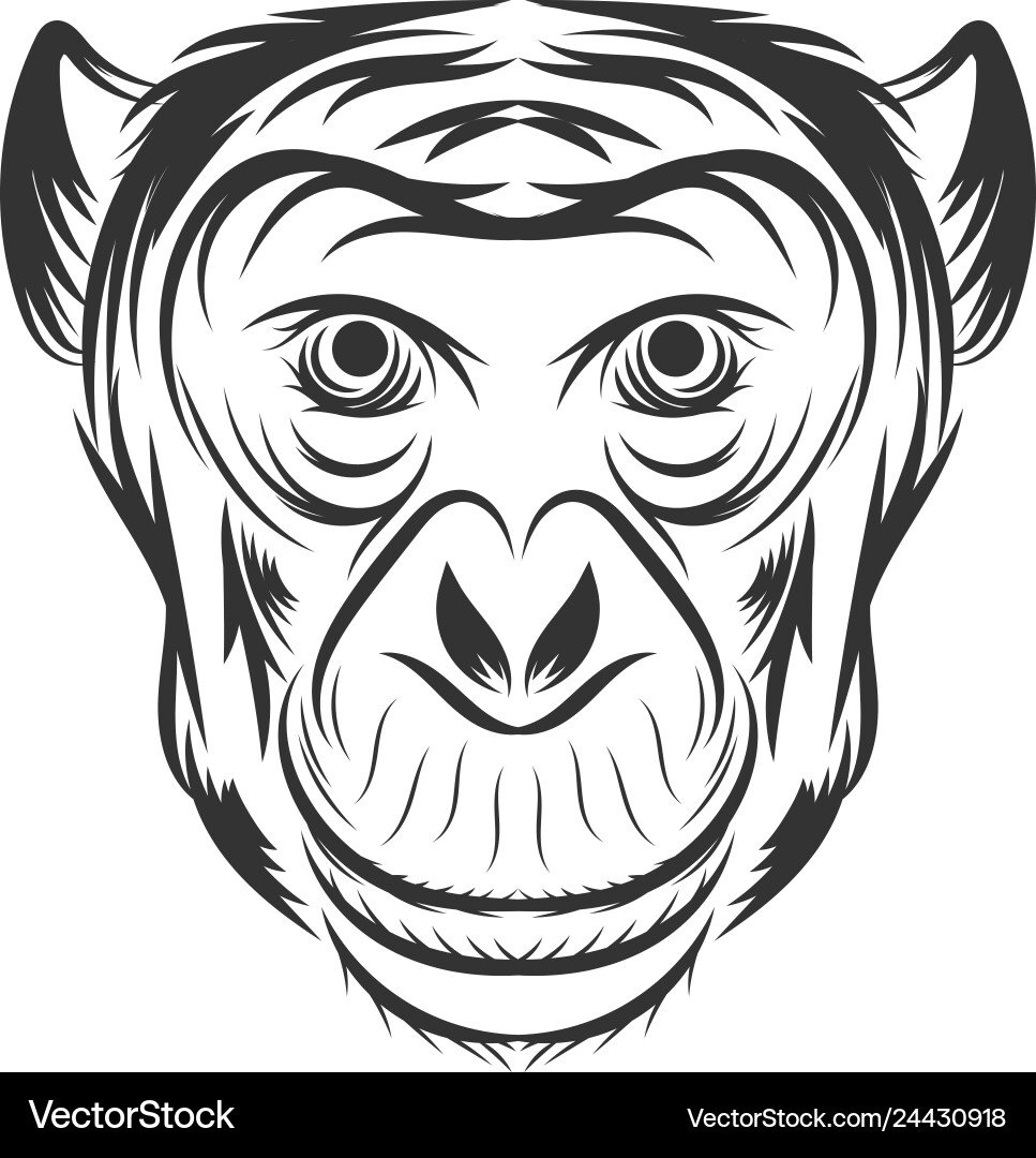 Monkey face design Royalty Free Vector Image - VectorStock