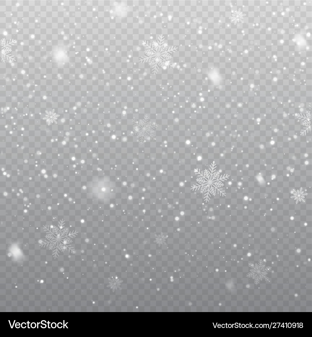 Snow isolated on transparent background Royalty Free Vector