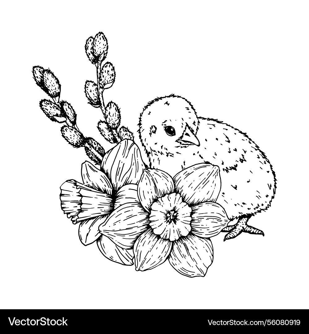 An easter chick Royalty Free Vector Image - VectorStock