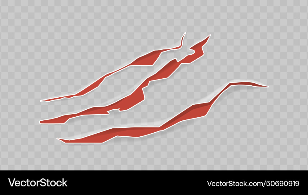 Animal claw marks slim extended streaks or rips Vector Image