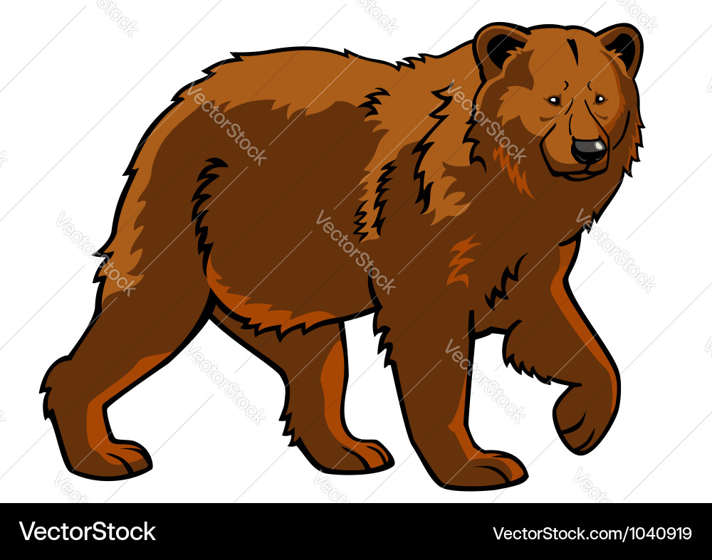 Brown bear Royalty Free Vector Image - VectorStock