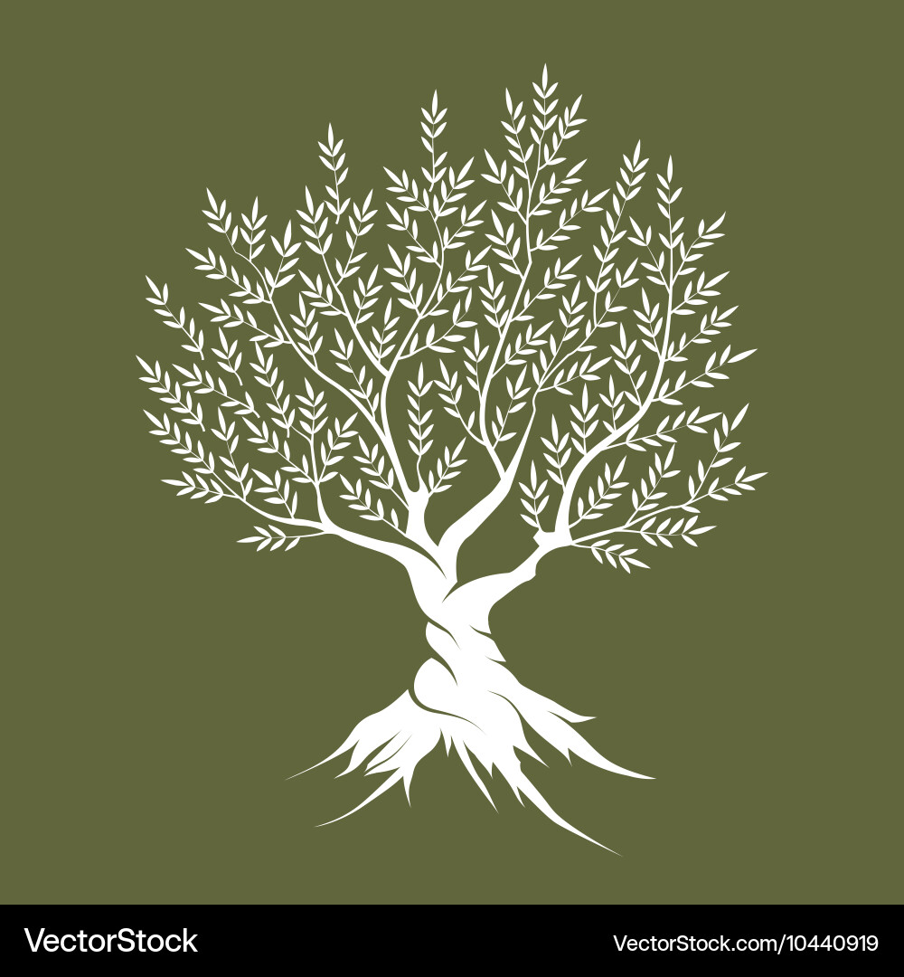 Olive Tree Silhouette Olive Tree Free Vector Clipart Images On