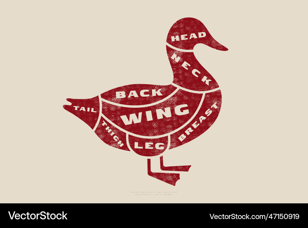 Stock duck cuts diagram in flat style Royalty Free Vector