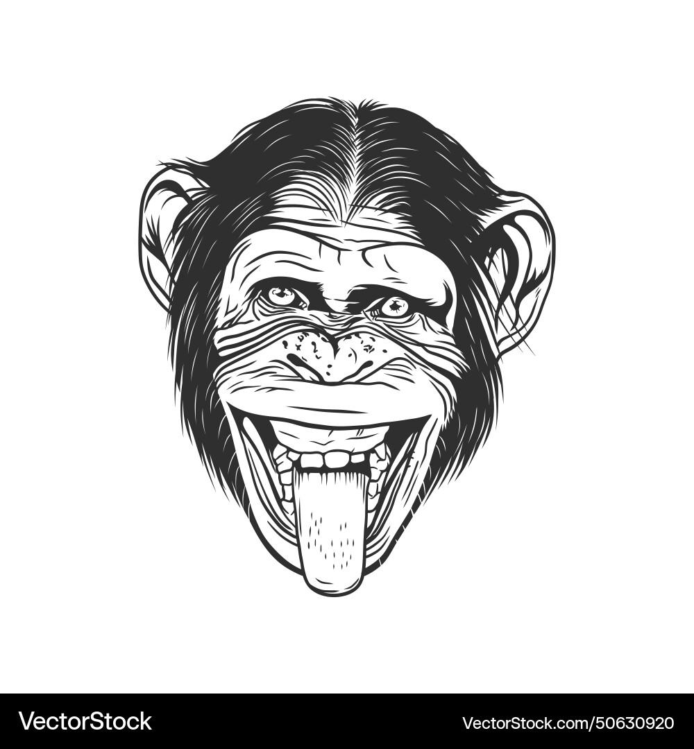 A humorous and energetic monkey in black white Vector Image