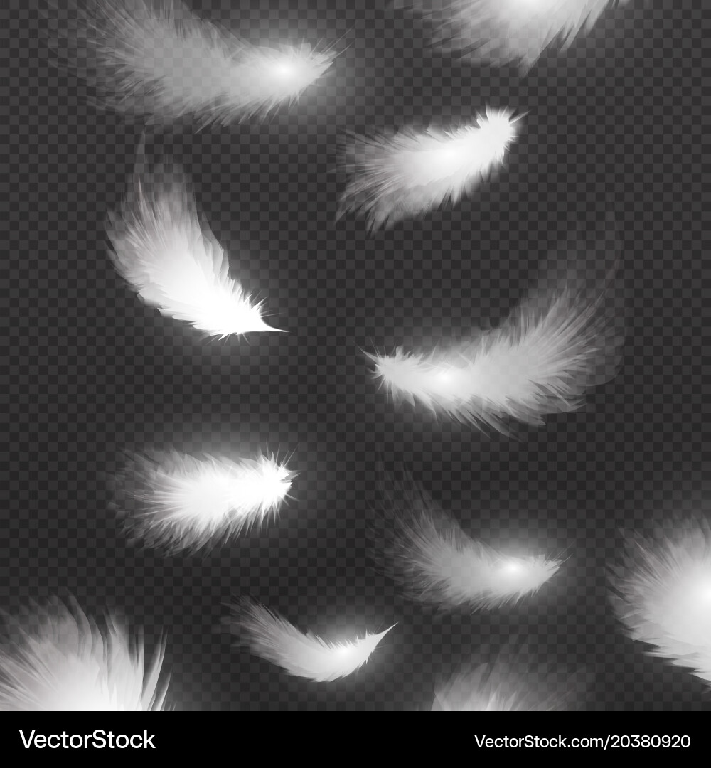 Falling down realistic white feathers isolated Vector Image