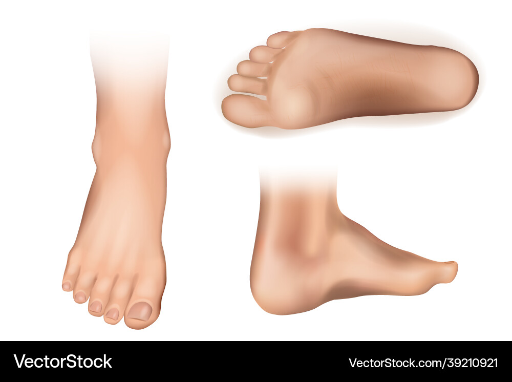 Collection of bare human sole arranged Royalty Free Vector