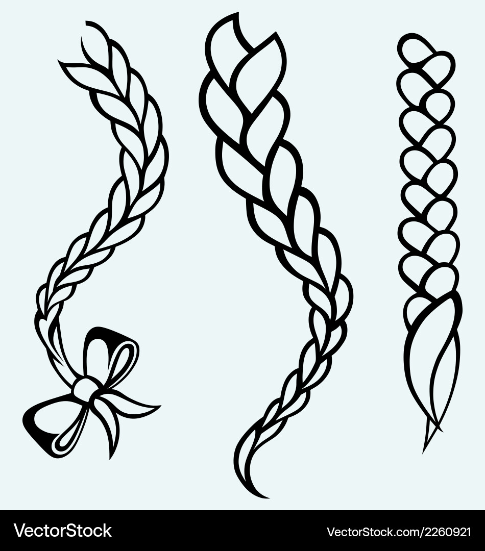 Plait Vector Images (over 2,700)