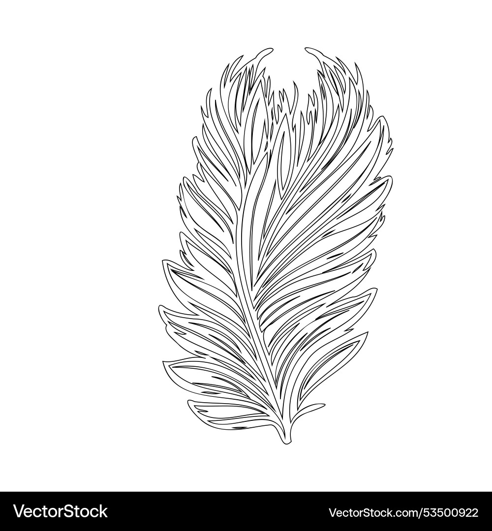Feather headdress outline sketch Royalty Free Vector Image