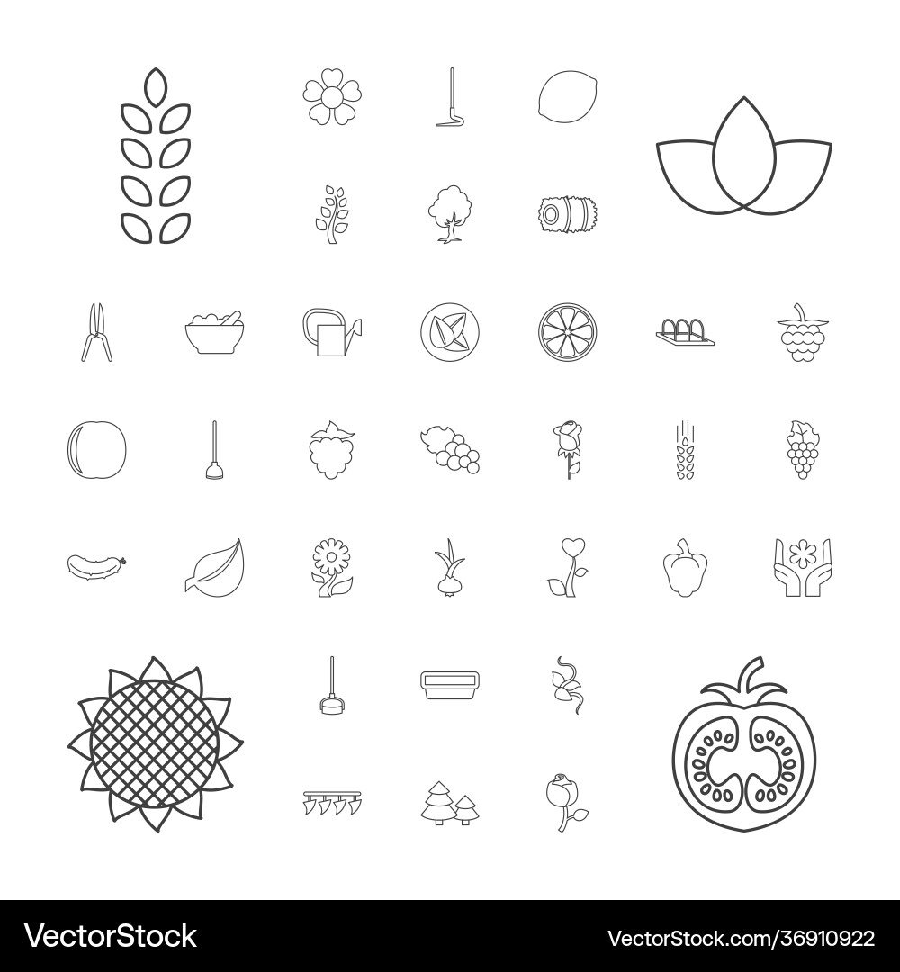 Pflanze Icons Lizenzfreies Vektorbild - VectorStock