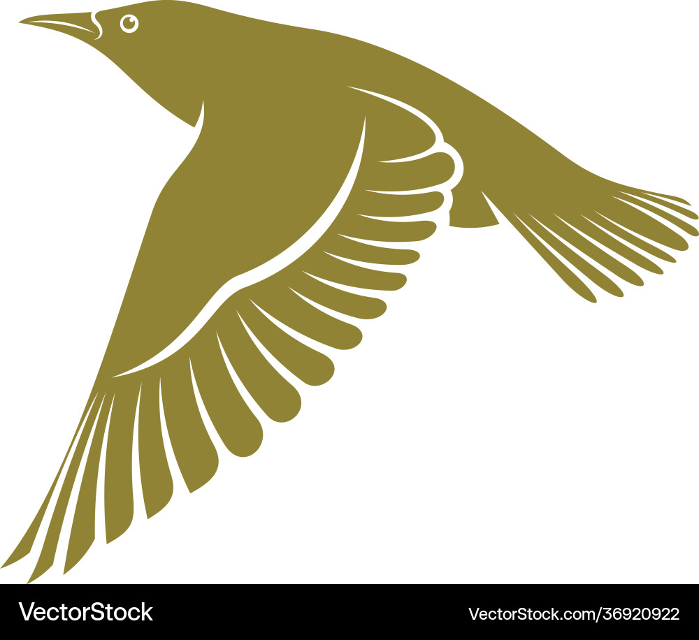 Starling bird design creative logo Royalty Free Vector Image