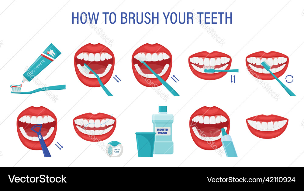 Step-by-Step Teeth Brushing Guide Royalty Free Vector Image