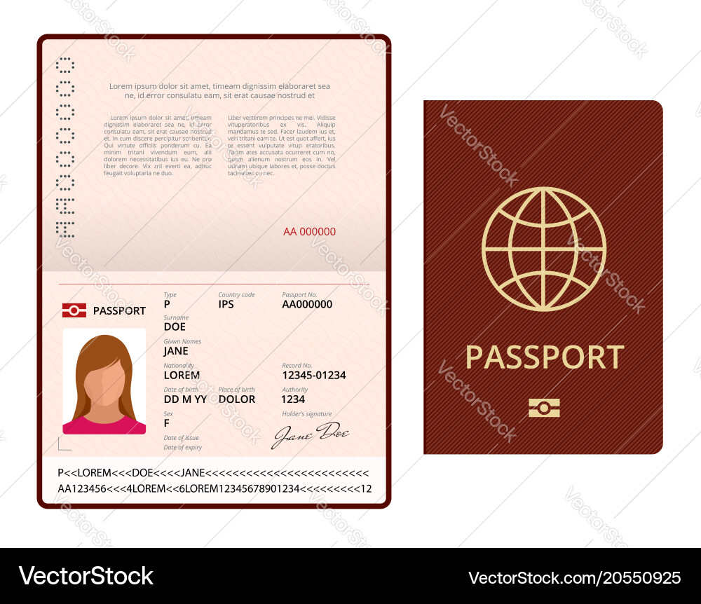 Blank open passport template international Vector Image