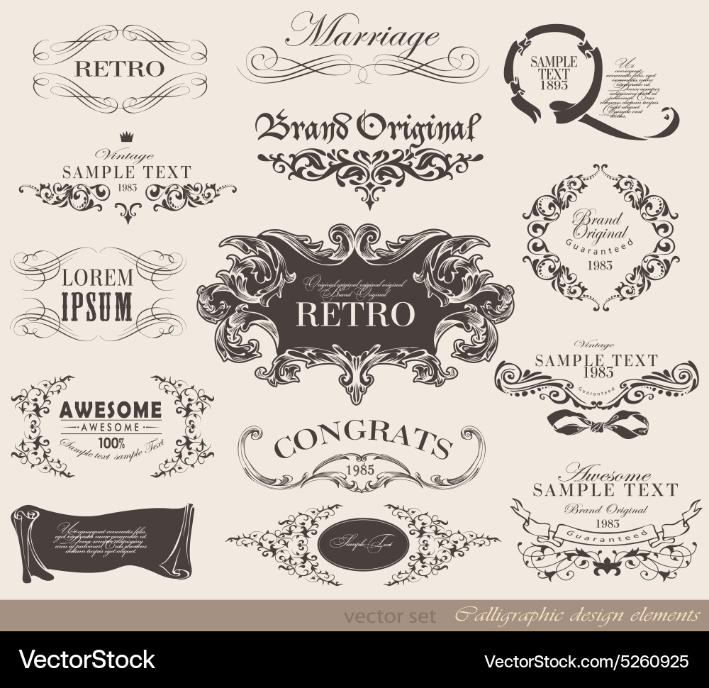 Calligraphic design elements Royalty Free Vector Image