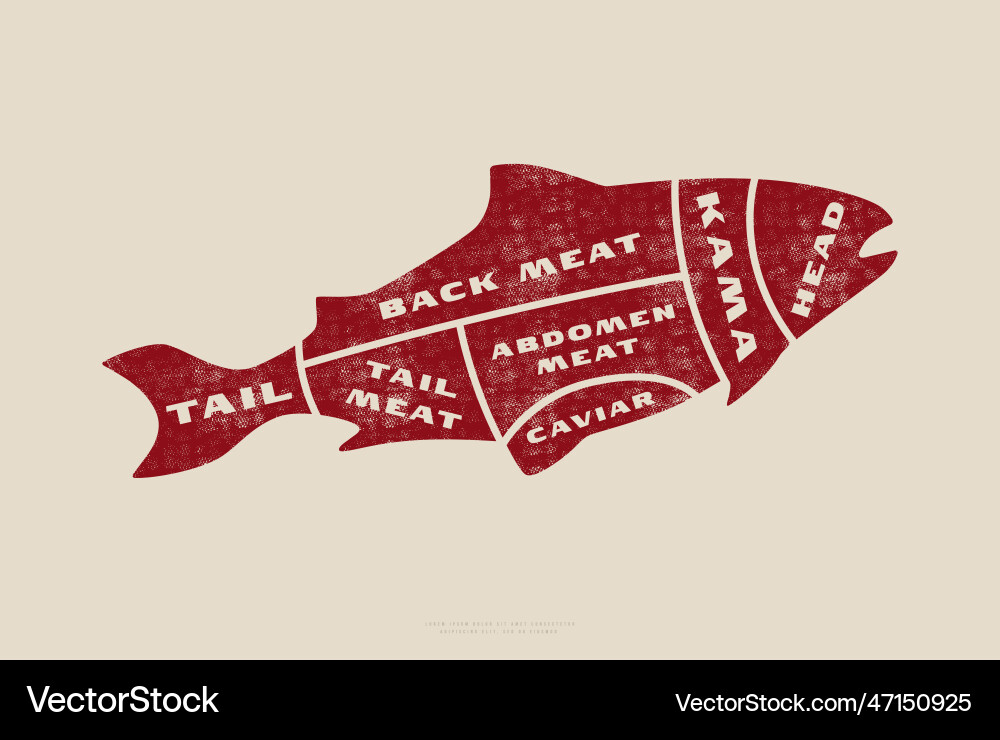 Stock fish cuts diagram in flat style Royalty Free Vector