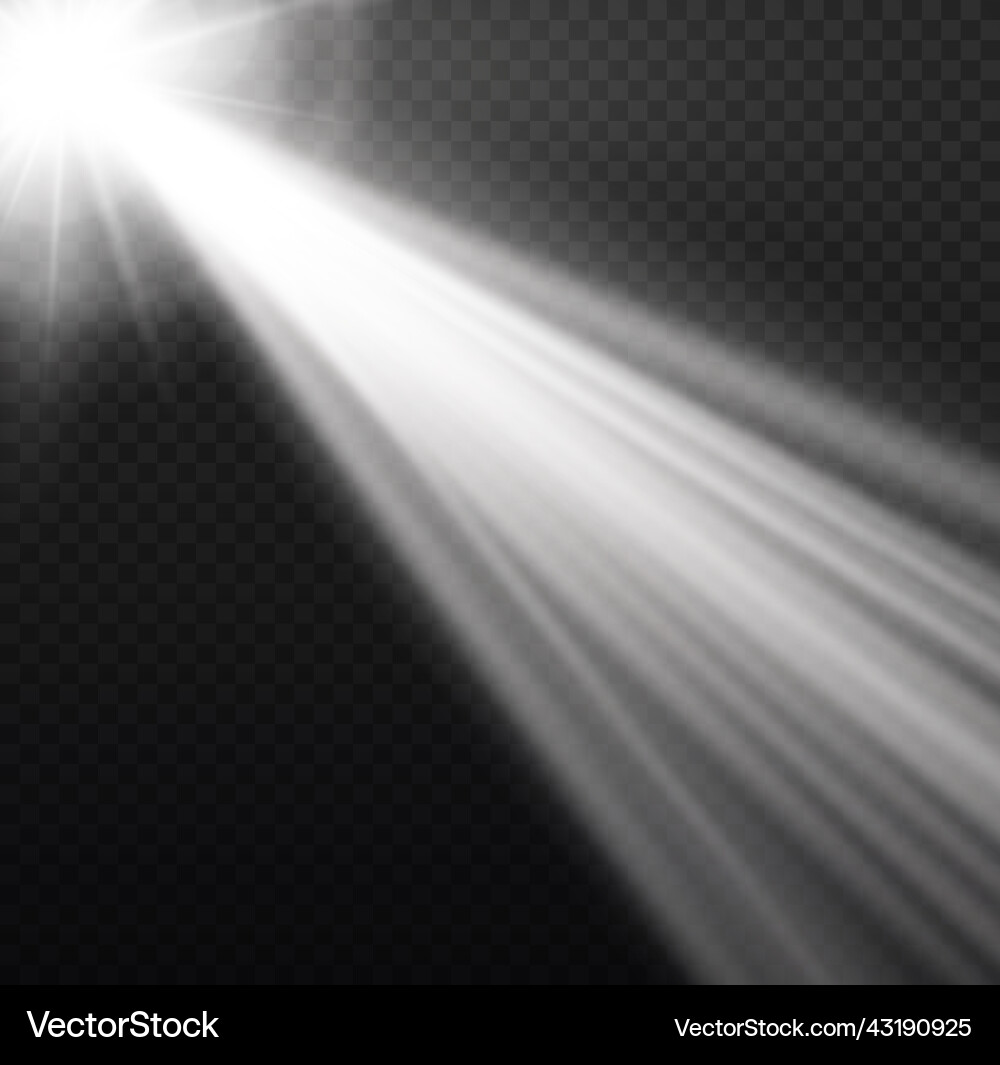 White Light Flare Flare PNG Images CleanPNG