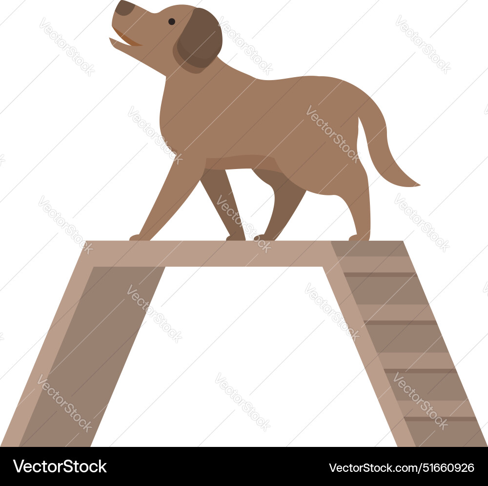 Labrador retriever dog walking on agility a frame Vector Image