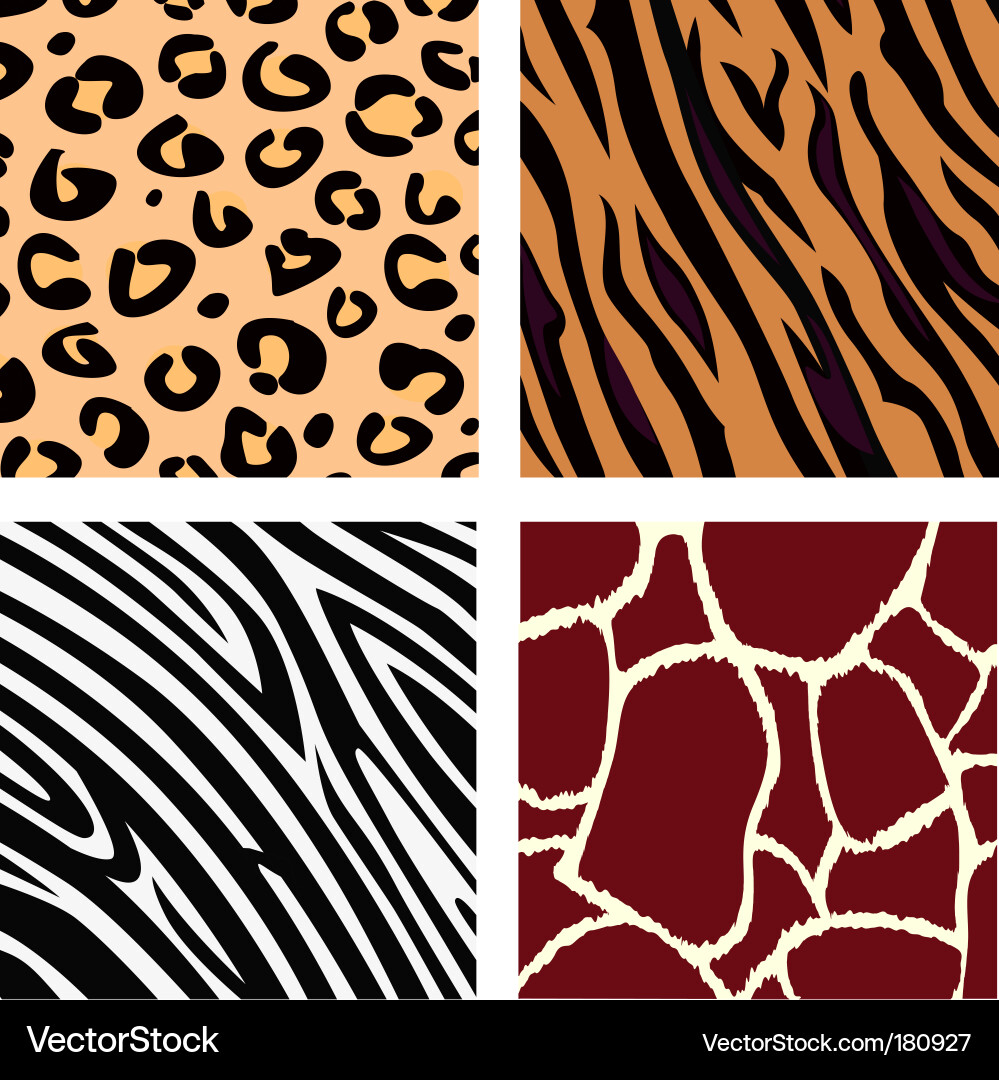 Animal patterns Royalty Free Vector Image - VectorStock