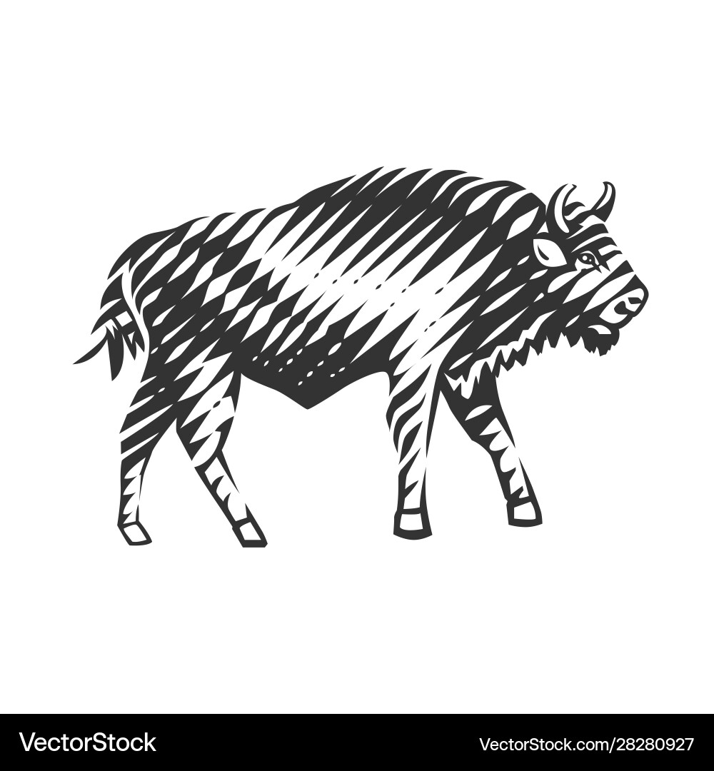 Beautiful bison Royalty Free Vector Image - VectorStock