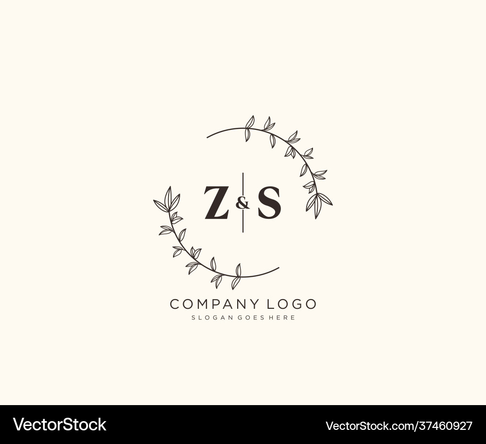 Initial zs letters beautiful floral feminine Vector Image
