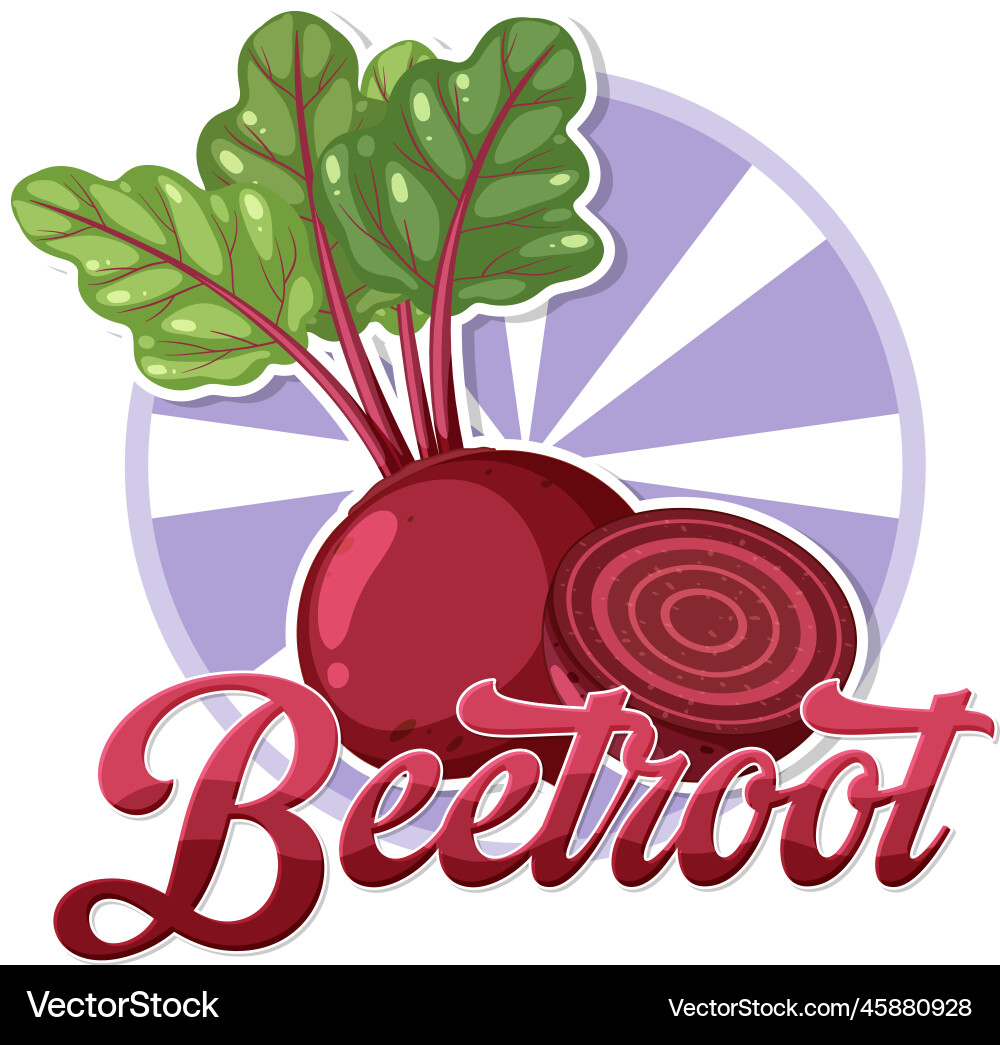 Beetroot banner in cartoon style Royalty Free Vector Image
