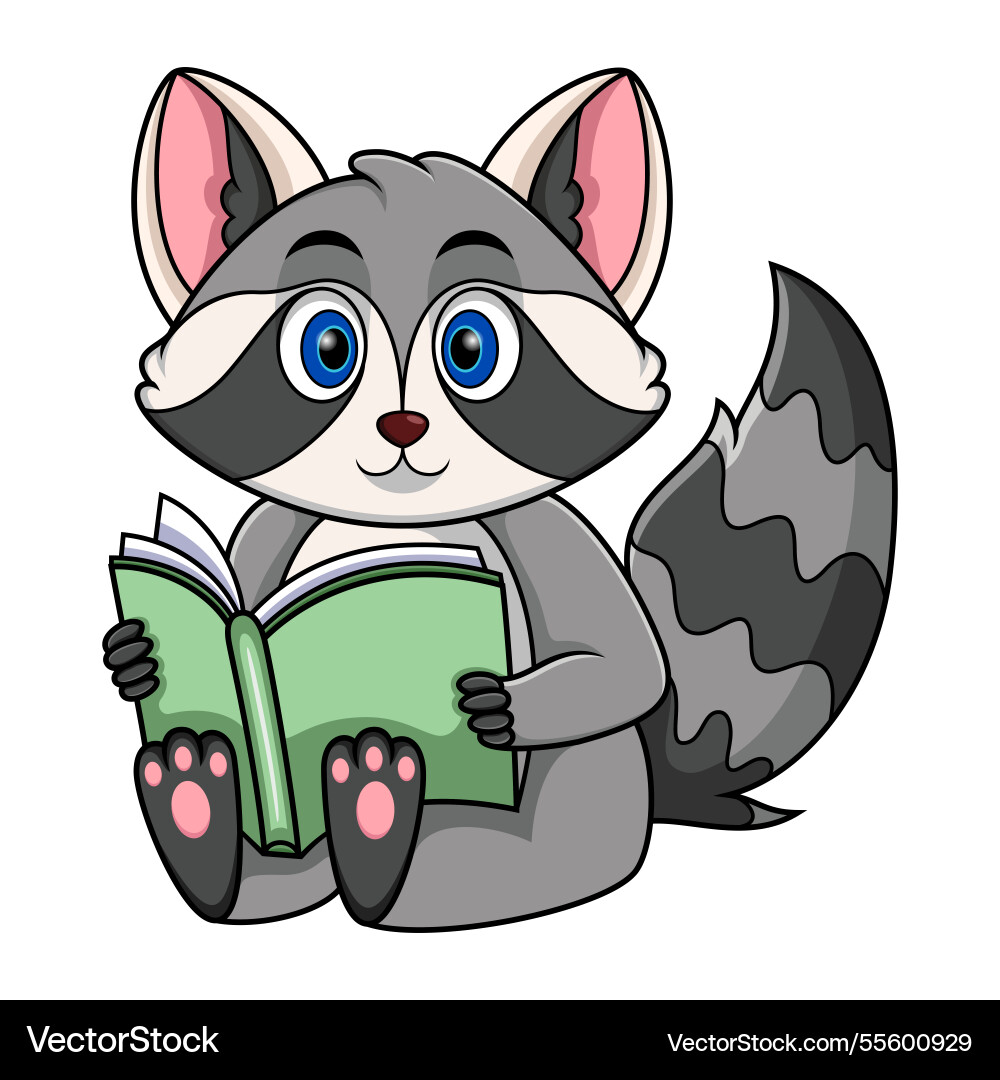 Cartoon raccoon reading a book Royalty Free Vector Image