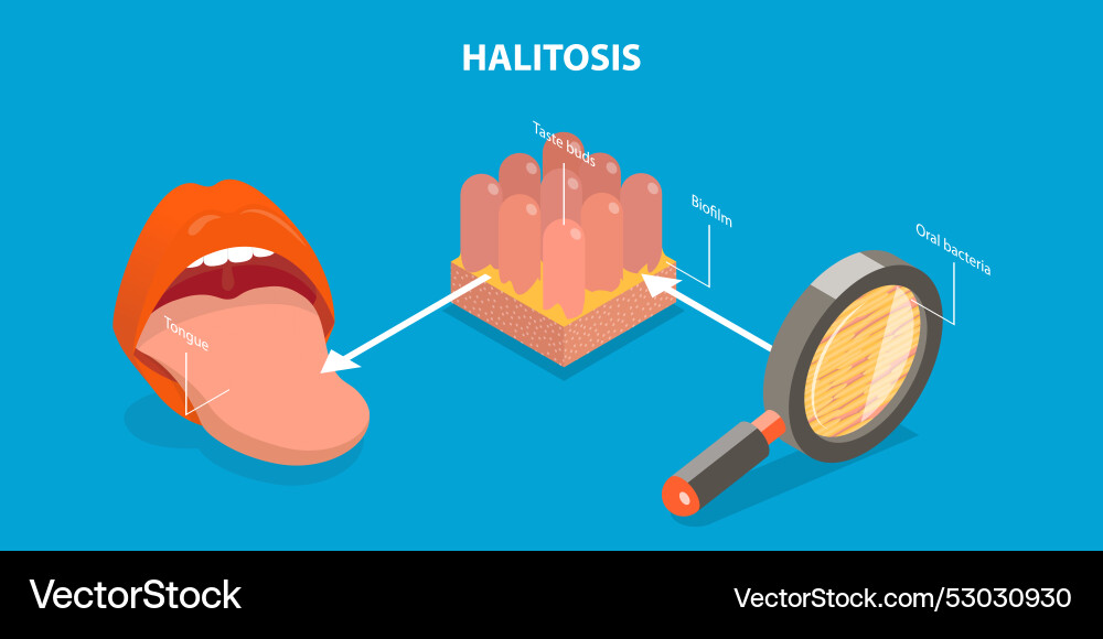 3d isometric flat of halitosis Royalty Free Vector Image