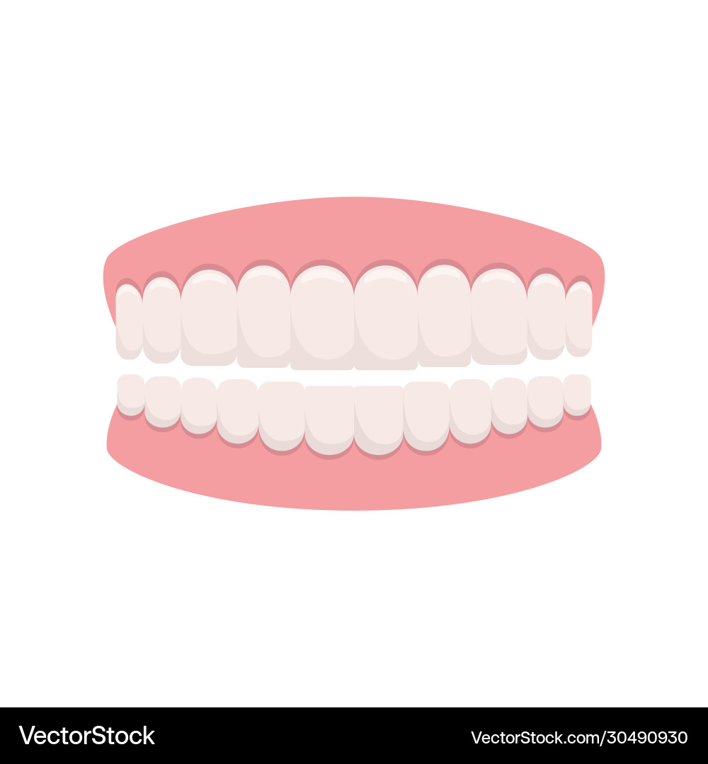 Dentures design Royalty Free Vector Image - VectorStock