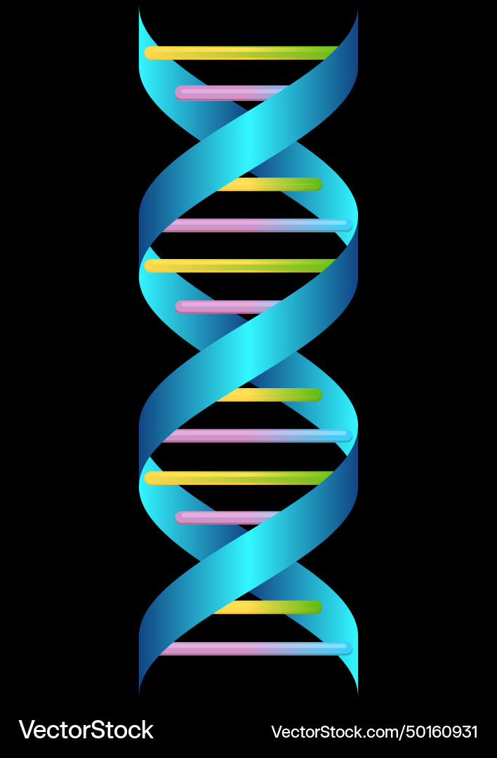 Dna Royalty Free Vector Image - VectorStock