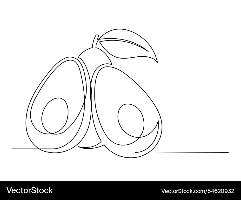 Continuous one line avocado with leaf Royalty Free Vector